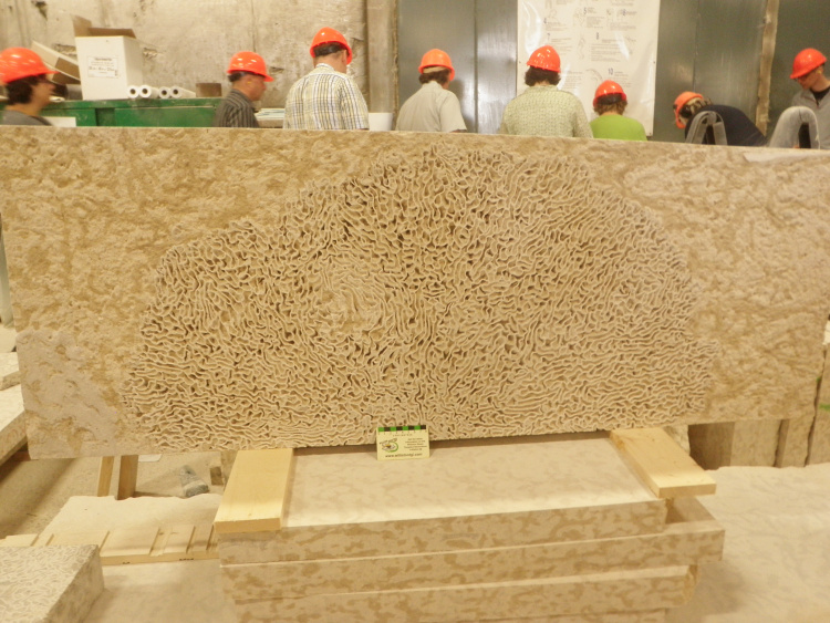 Tyndall Stone Quarry - EGM Heritage