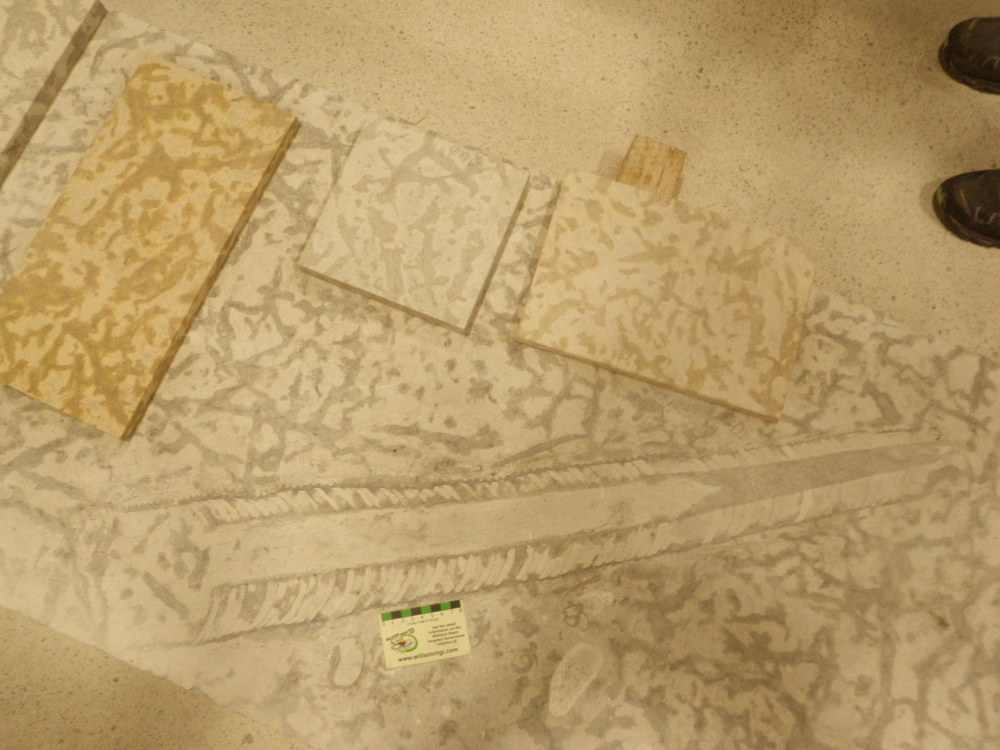 Tyndall Stone Quarry - EGM Heritage